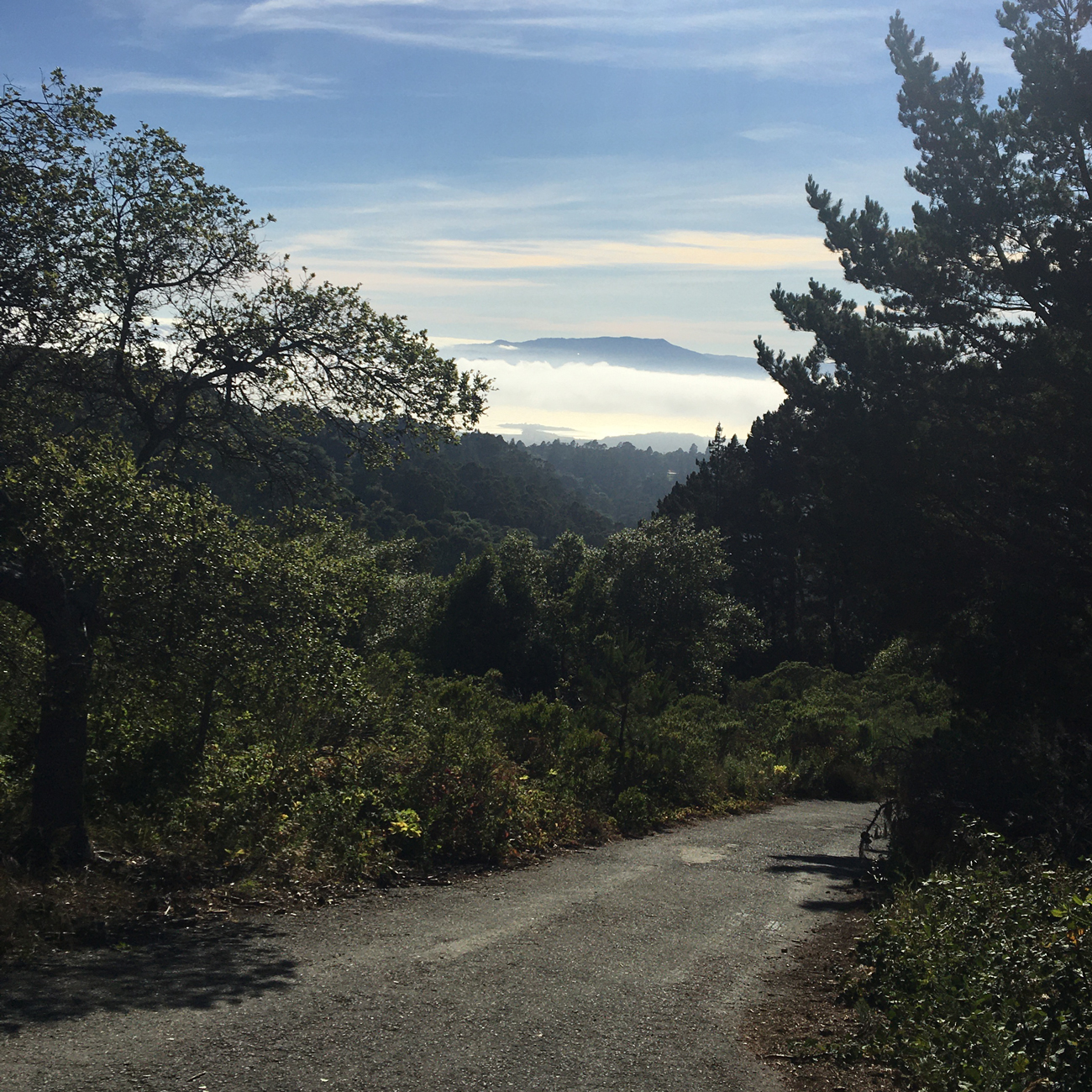 The Road to a Half Marathon: 6 Miles on the Seaview Trail » Johanna ...